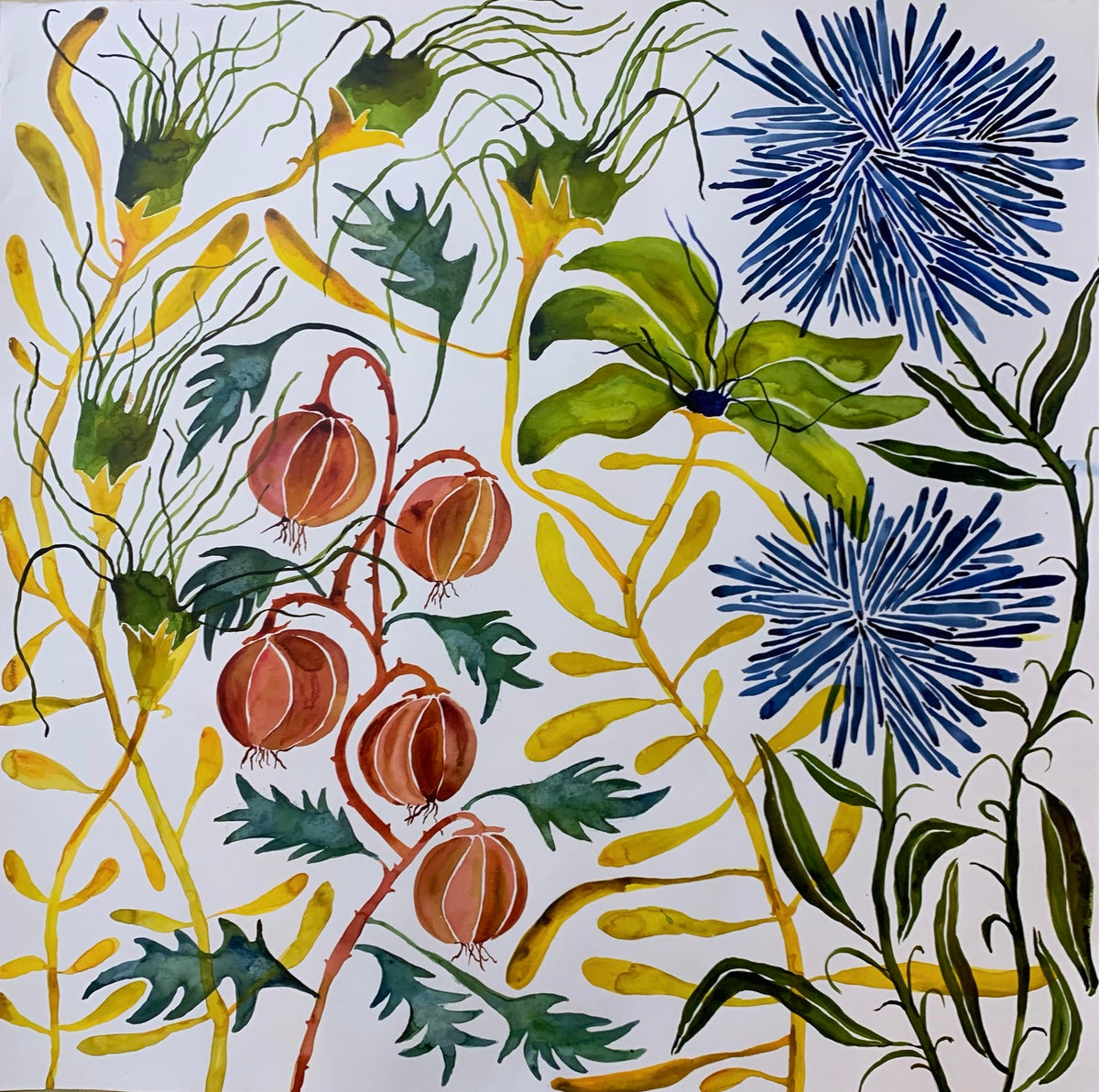 Blue Poof Red Bud 48x48 – Judith Bigham