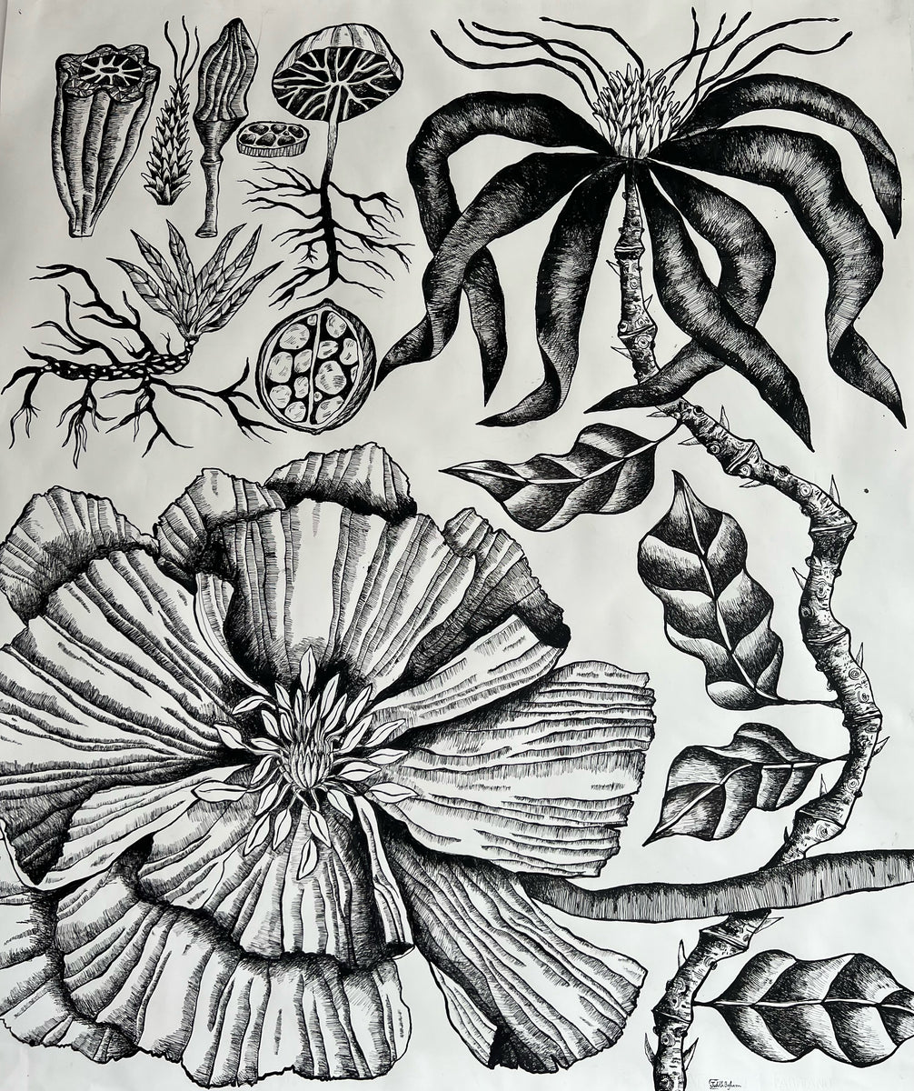 Grandifolius Augustus 48x55 – Judith Bigham