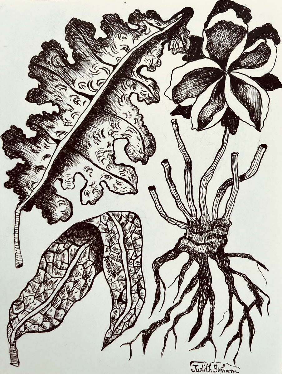 Imaginarium No. 10 – Judith Bigham