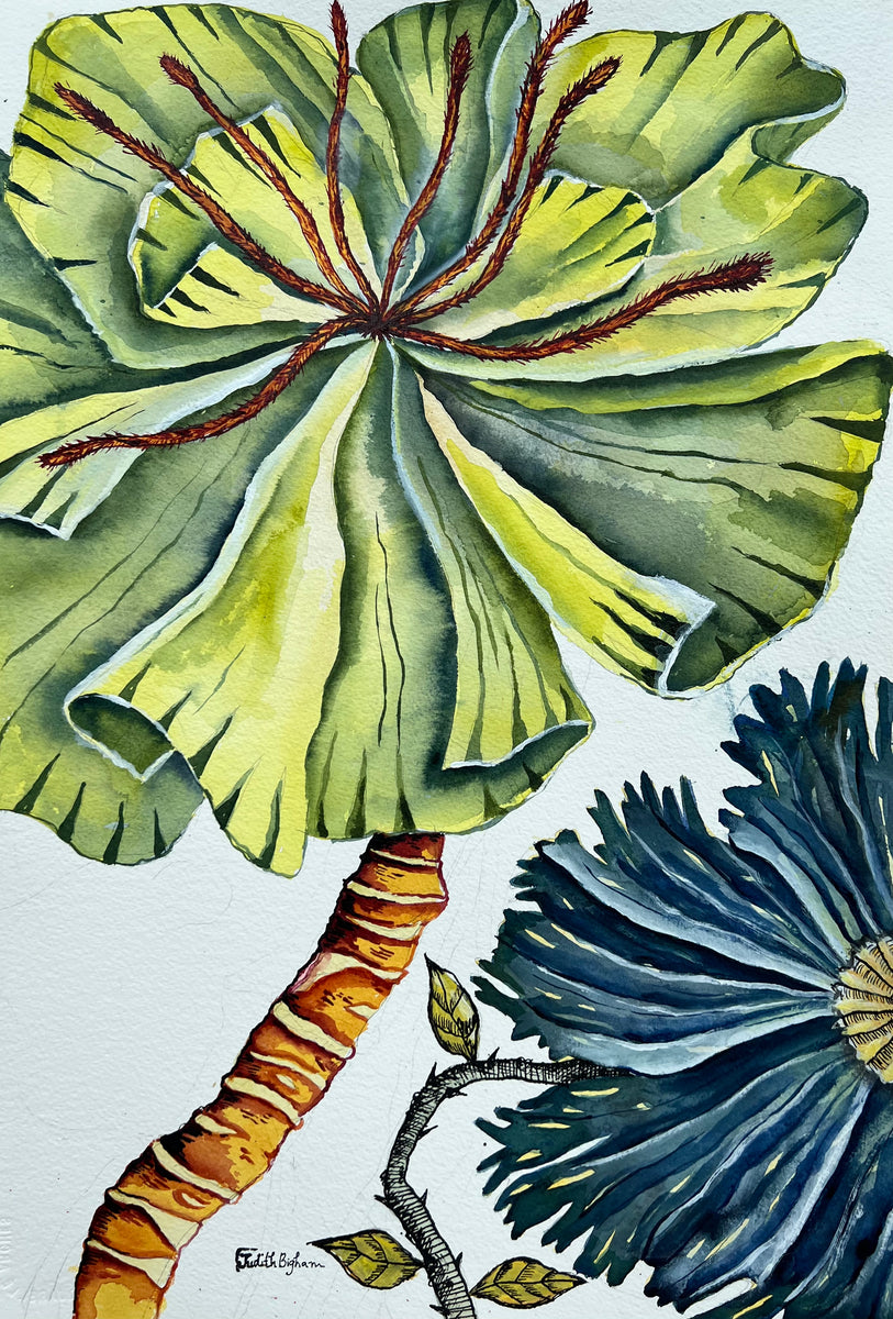 Leafy Venustas – Judith Bigham