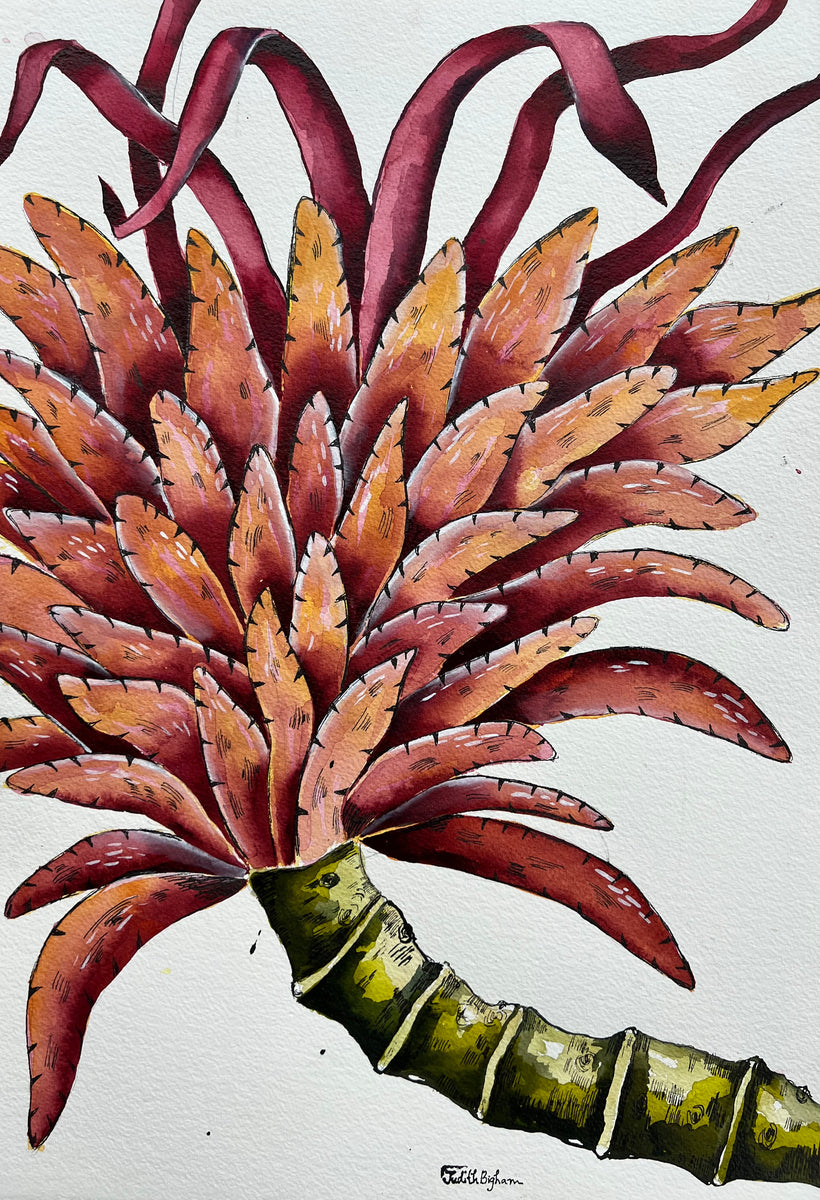 Sprouting Bellus Flower – Judith Bigham