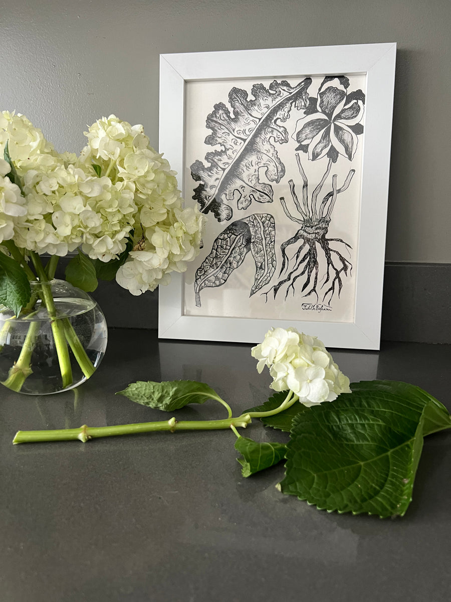 Imaginarium No. 10 – Judith Bigham